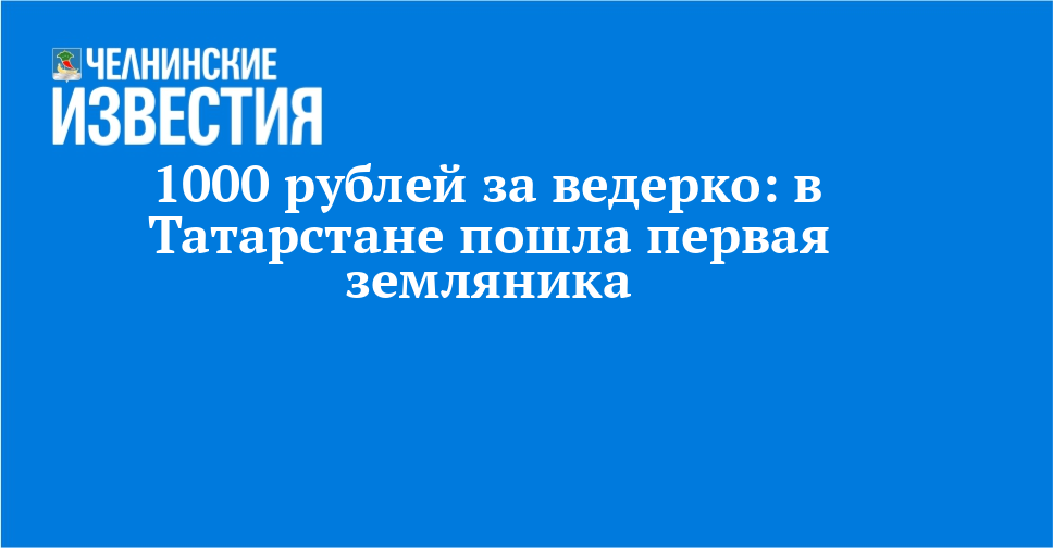 1000 рублей за ведерко: в Татарстане пошла первая земляника