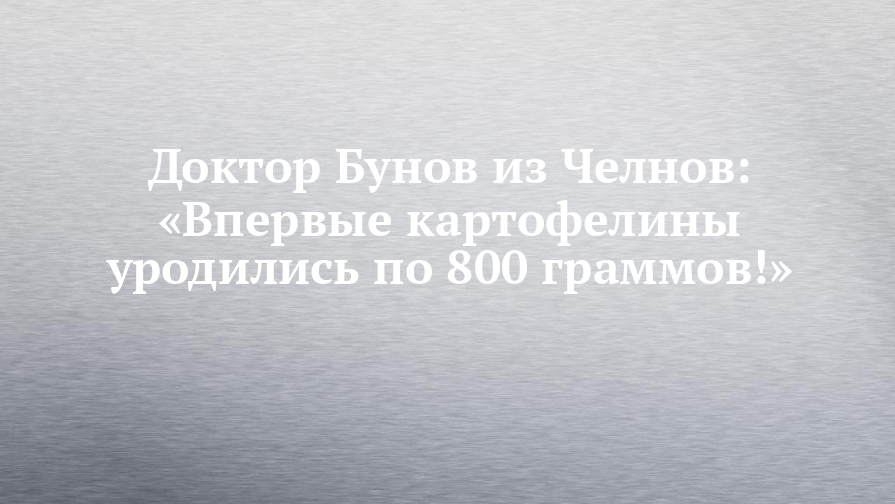 Доктор Бунов из Челнов: «Впервые картофелины уродились по 800 граммов!»